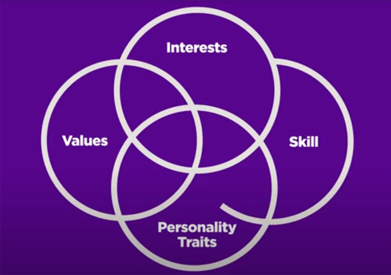 Programmer Analyst vs. Software Engineer: What’s the Difference? - SoftwareProfy